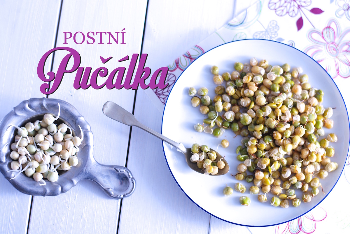 Pučálka neboli pálenec - pochoutka z naklíčeného hrachu